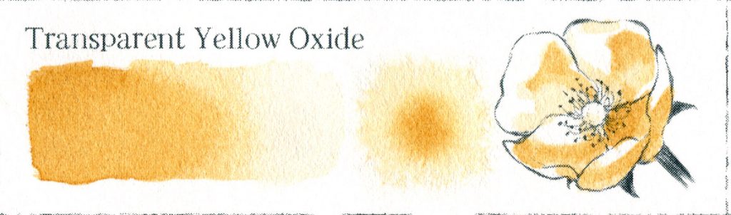 Transparent Yellow Oxide | 水彩絵具使ってみた！ドットコム