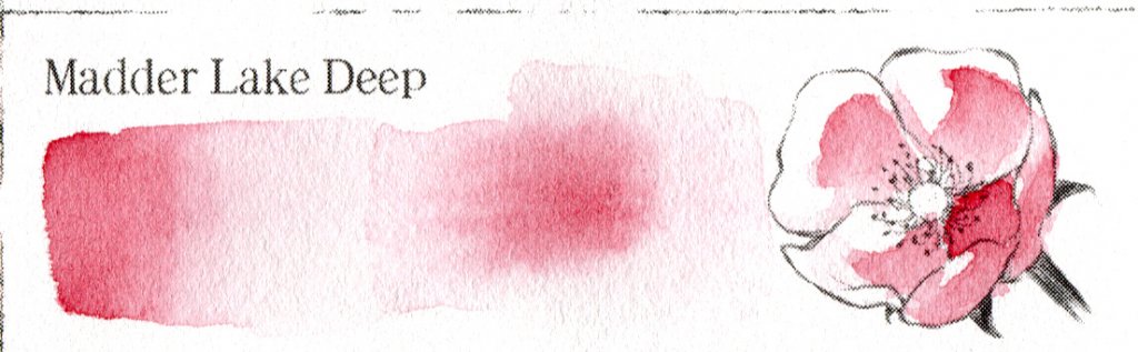 Madder Lake Deep | 水彩絵具使ってみた！ドットコム