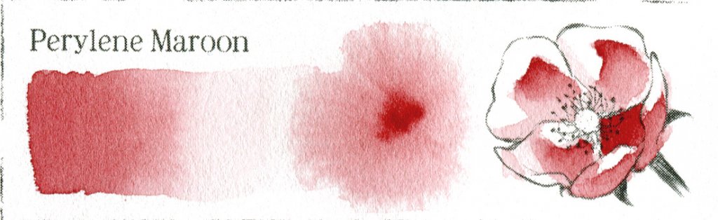 Perylene Maroon | 水彩絵具使ってみた！ドットコム