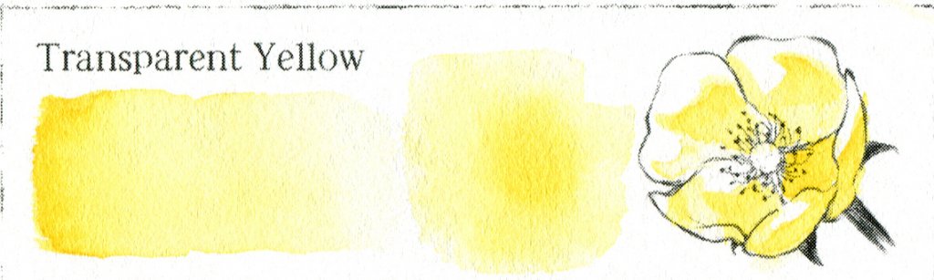 Transparent Yellow | 水彩絵具使ってみた！ドットコム