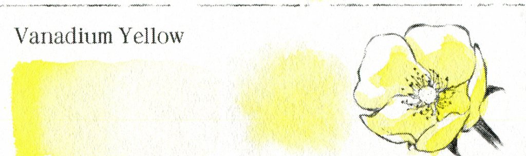 Vanadium Yellow | 水彩絵具使ってみた！ドットコム