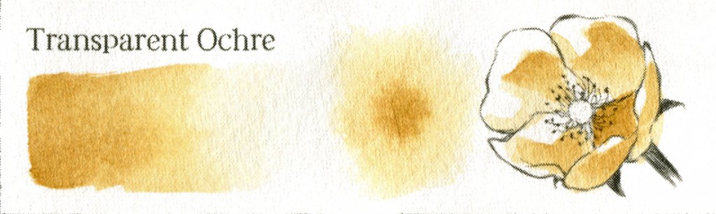 Transparent Ochre | 水彩絵具使ってみた！ドットコム