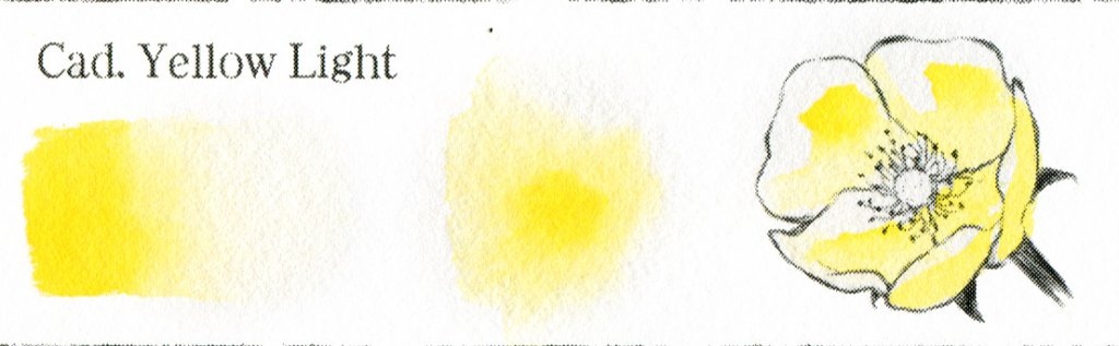 Cad. Yellow Light | 水彩絵具使ってみた！ドットコム