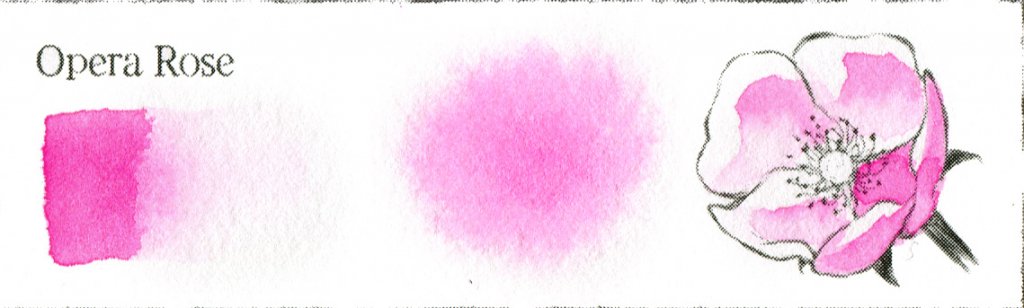 Opera Rose | 水彩絵具使ってみた！ドットコム