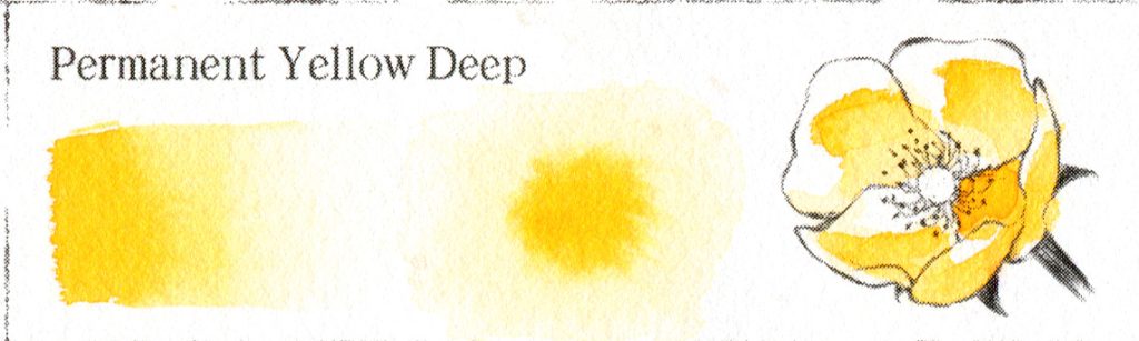 Permanent Yellow Deep | 水彩絵具使ってみた！ドットコム