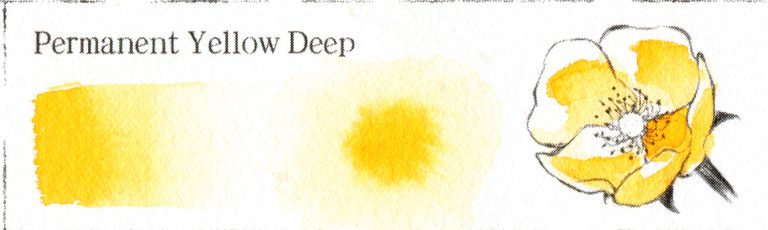 Permanent Yellow Deep | 水彩絵具使ってみた！ドットコム