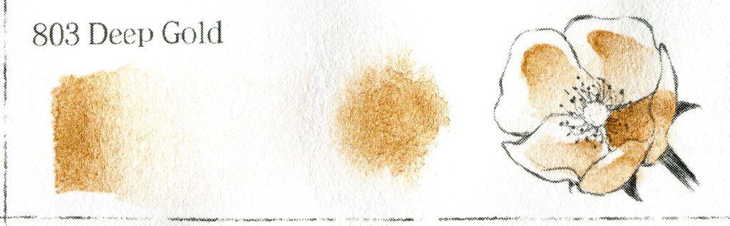 803 Deep Gold | 水彩絵具使ってみた！ドットコム