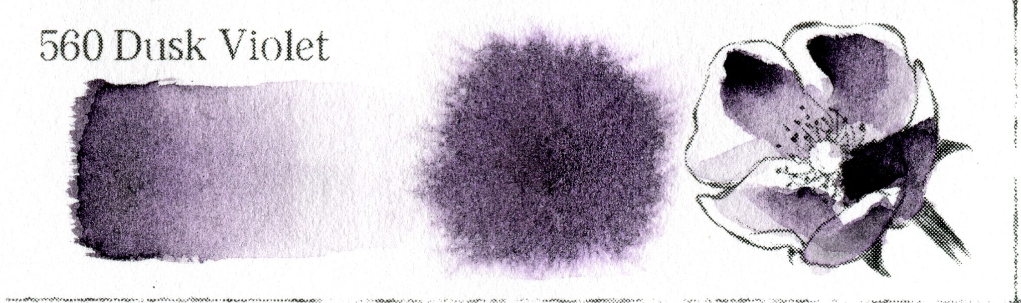 560 Dusk Violet | 水彩絵具使ってみた！ドットコム