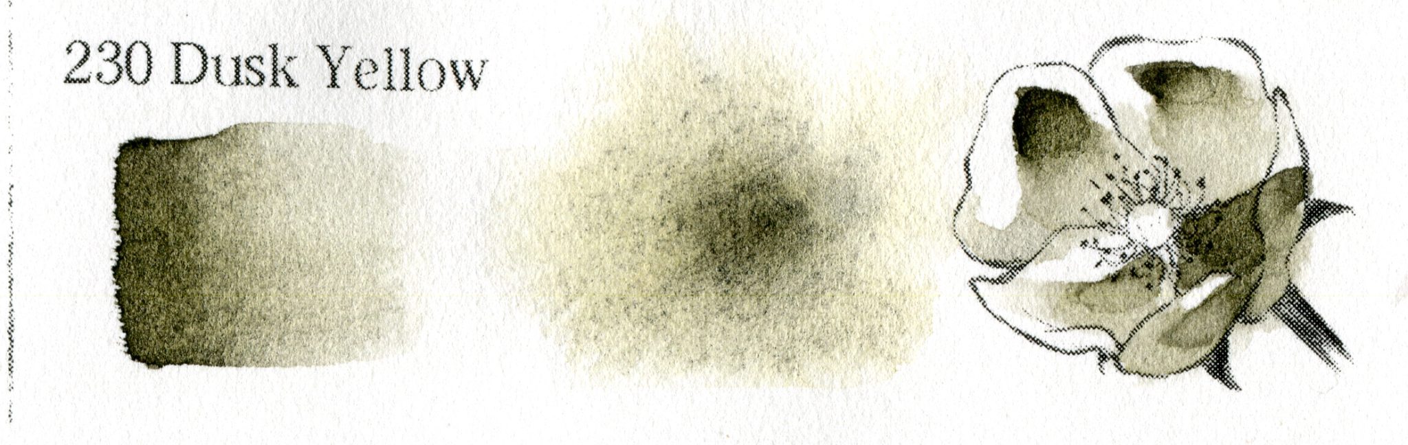 230 Dusk Yellow | 水彩絵具使ってみた！ドットコム