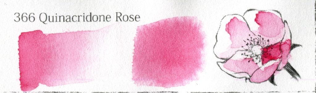 366 Quinacridone Rose (Primary) | 水彩絵具使ってみた！ドットコム
