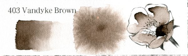 403 Vandyke Brown | 水彩絵具使ってみた！ドットコム